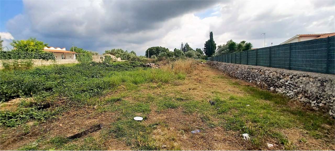 terreno agricolo in vendita a noto