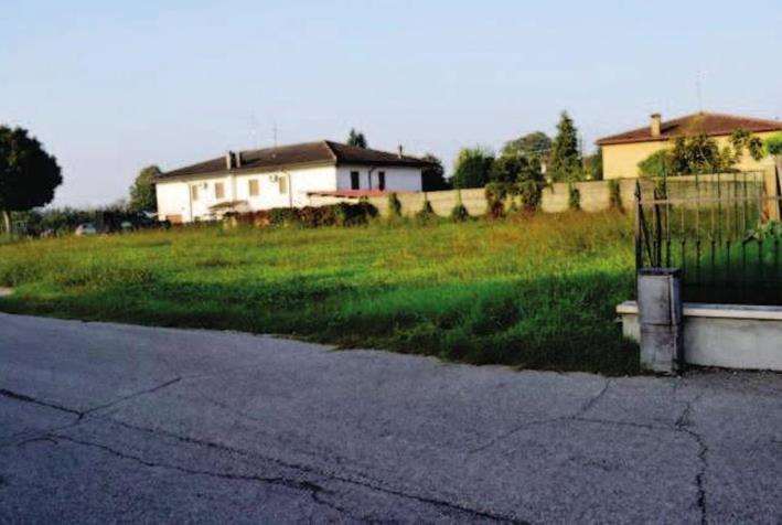 terreno edificabile in vendita a trevenzuolo