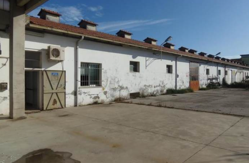 capannone in vendita a savignano sul rubicone