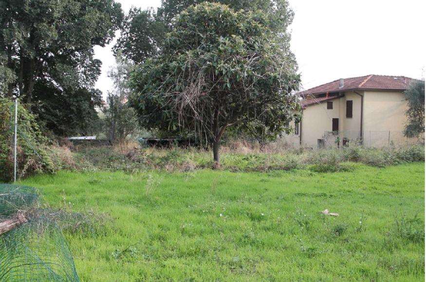 terreno agricolo in vendita a massa