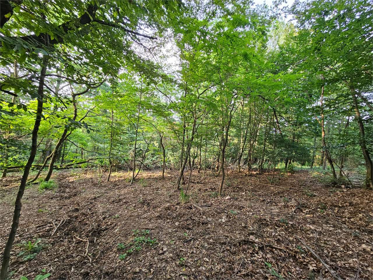 terreno agricolo in vendita a cumiana