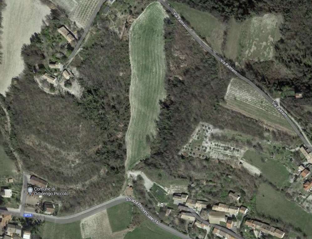 terreno agricolo in vendita a odalengo piccolo Case Dorato-Fresia-Palmar