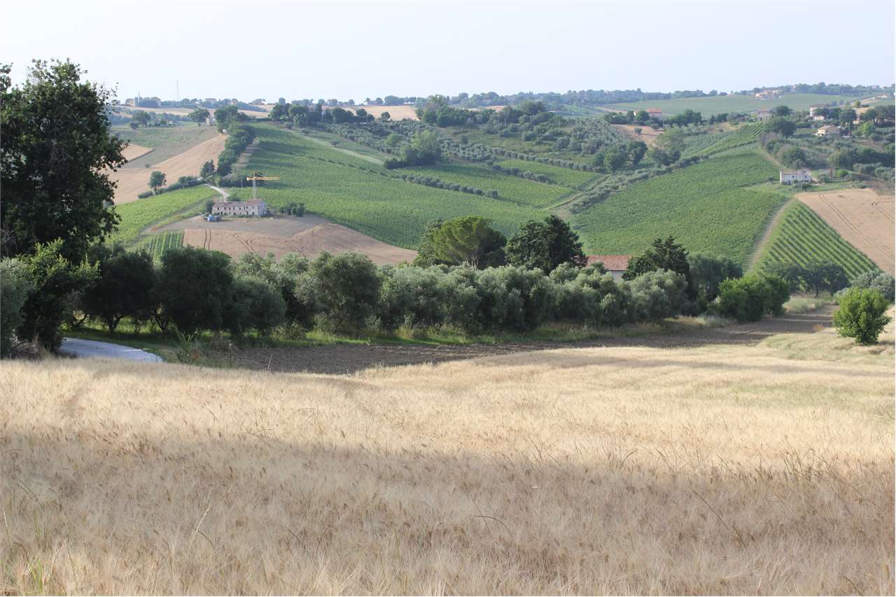 terreno agricolo in vendita a san marcello